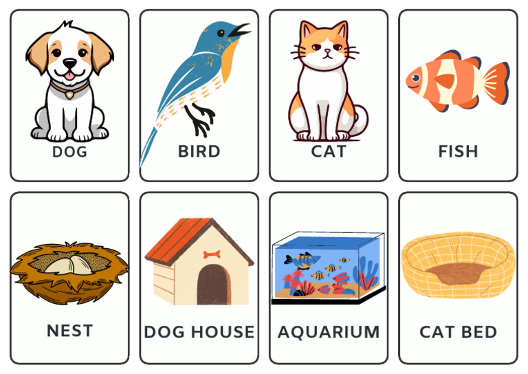 Pet Housing Essentials | PDF