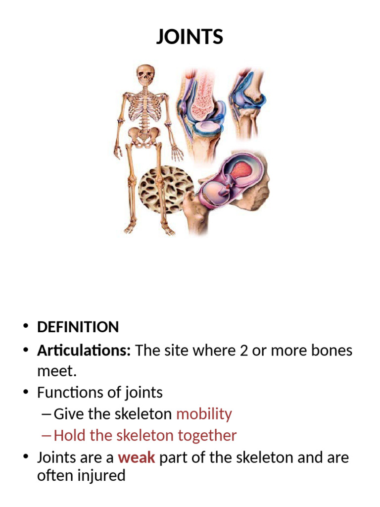 Types_joints_and_classification[1] | PDF | Anatomical Terms Of Motion ...