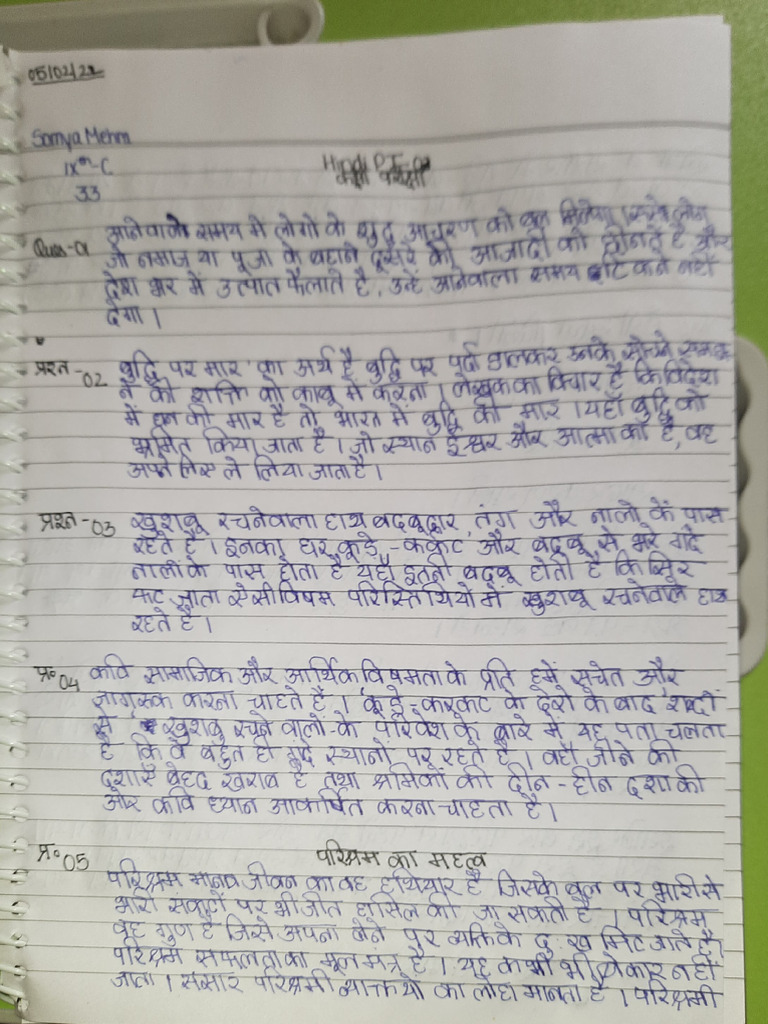 Somya Mehra IX-C 33 Hindi PT 3 | PDF