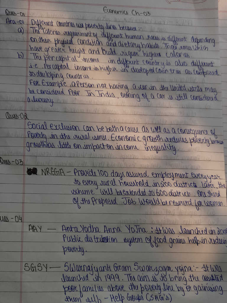 Somya Mehra IX-C 33 Economic Chapter 3 | PDF