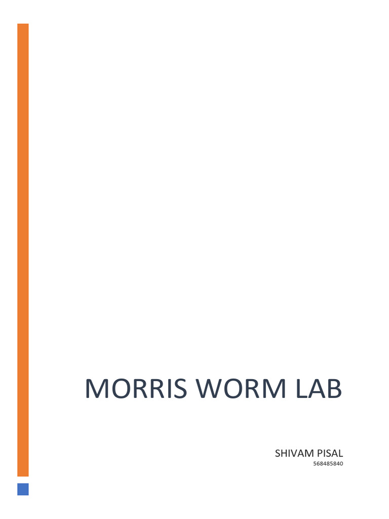 Morris Worm | PDF