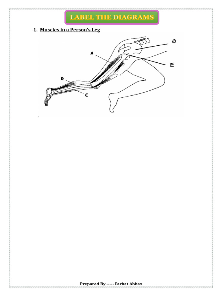 1731431907_Label Diagram - 1 | PDF