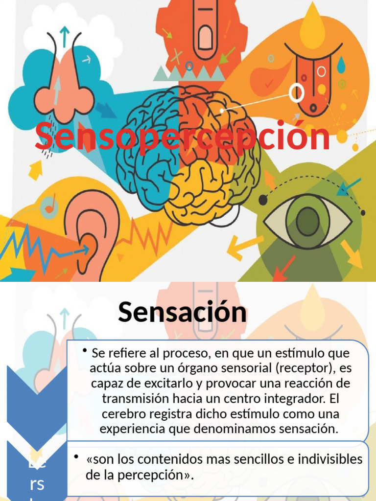 Sensopercepcion | PDF | Percepción | Sentidos
