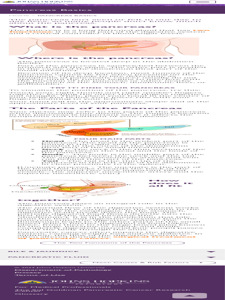 Pancreas Basics - Pancreatic Cancer Johns Hopkins Pathology | PDF ...