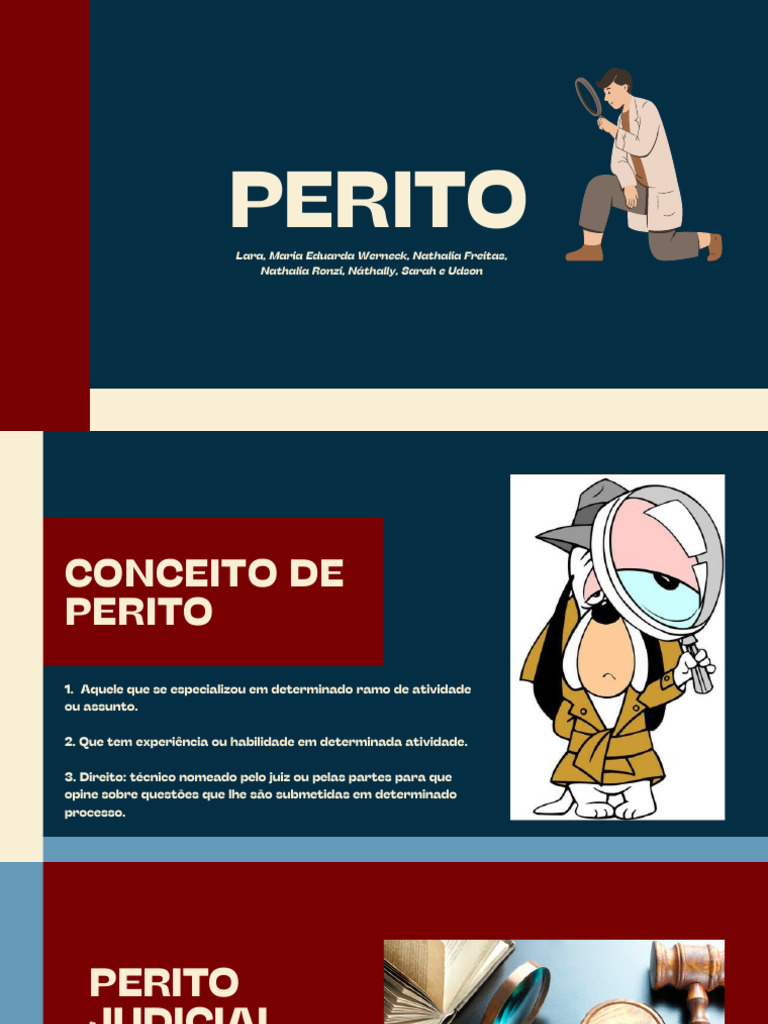 Perito | PDF | Direito Público | Justiça