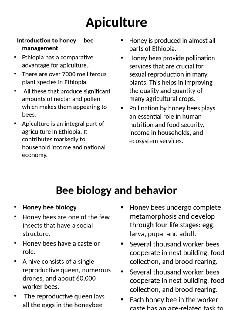 Beekeeping Practices in Ethiopia | PDF | Honey Bee | Beekeeping