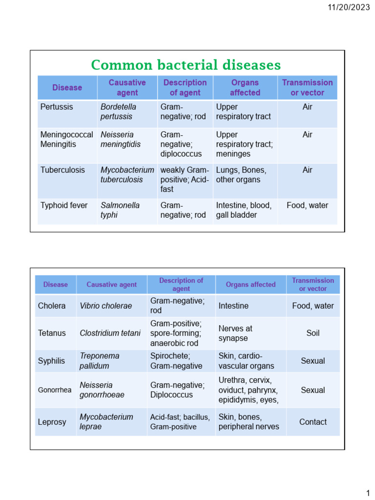 (Biol 12) Unit 2 - Microorganisms (Part 2) | PDF | Fungus | Protozoa