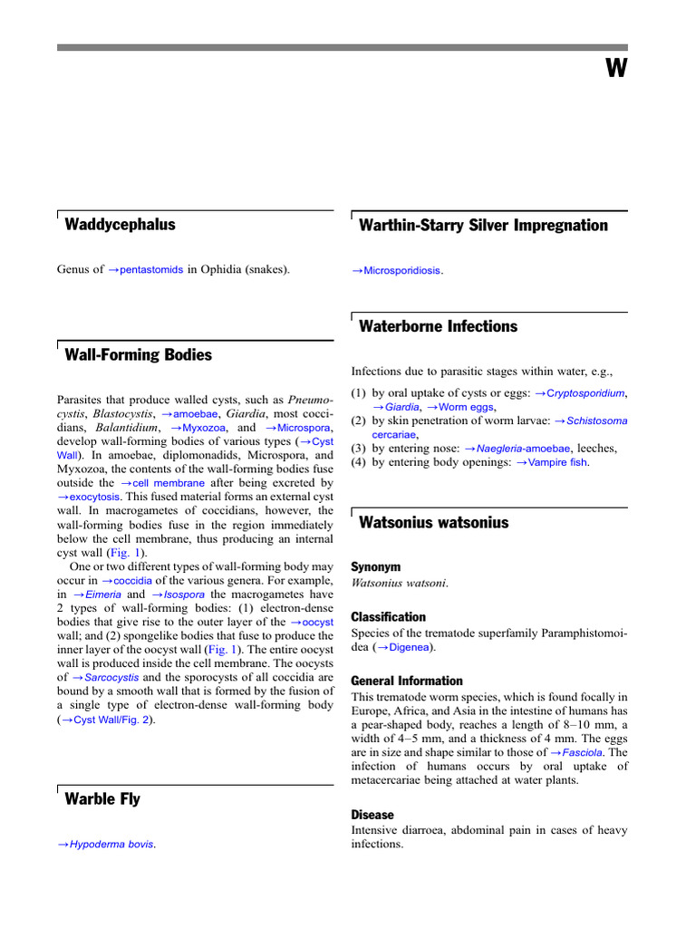 Worm Eggs | PDF | Parasitology | Microbiology