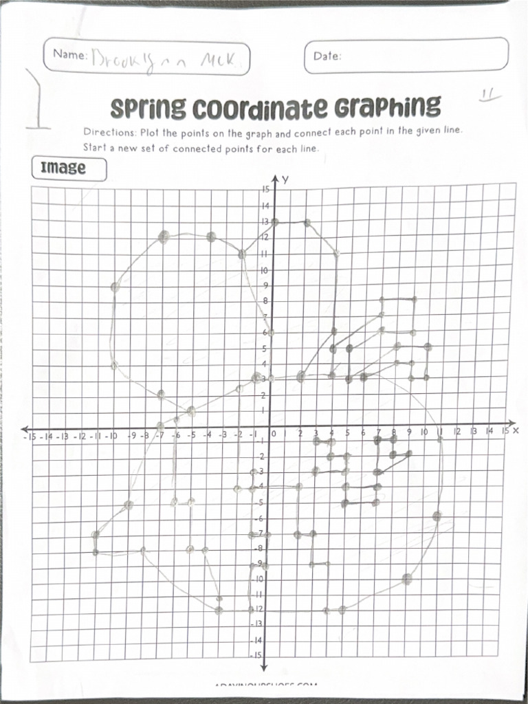 Spring Coordinate Graphing Assignment | PDF Spring Coordinate Graphing Assignment | PDF