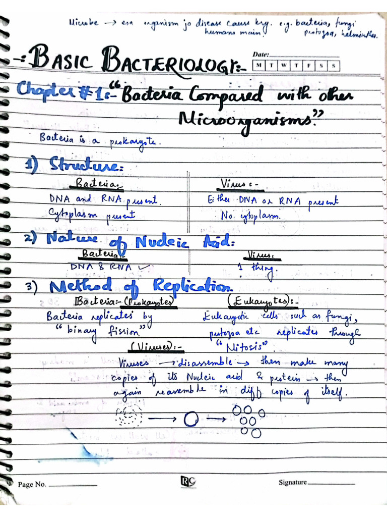 Basic Bacteriology | PDF