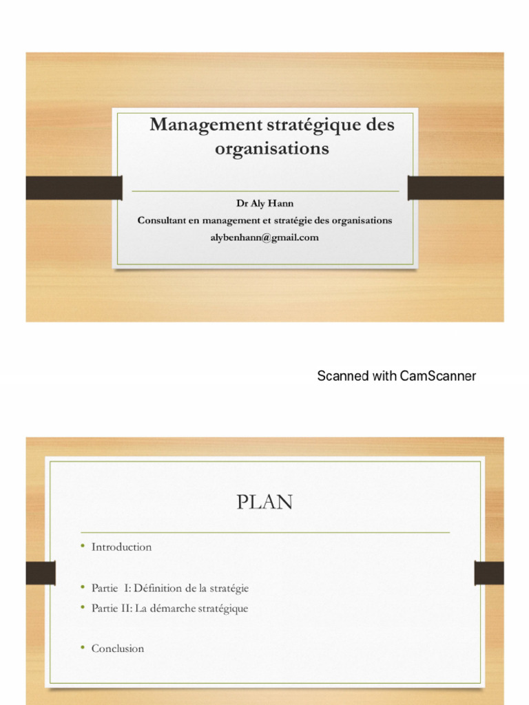 Support Strategie Pour Ensup Afrique M2 | PDF