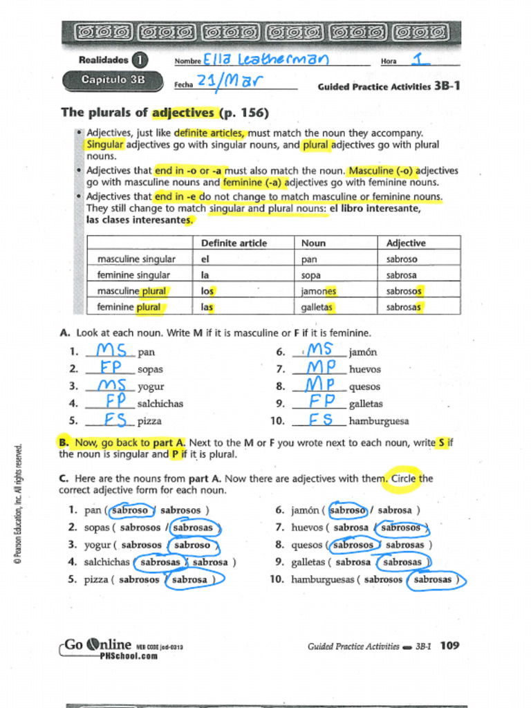 3B+Plurals+of+Adjectives | PDF