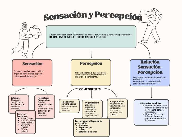 SENSACION Y PERCEPCIÓN | PDF | Percepción | Sentidos