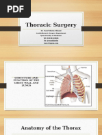 Costal Arch | PDF | Thorax | Thorax (Human Anatomy)