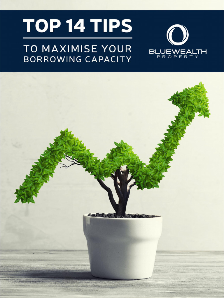 Top 14 Tips To Maximise Your Borrowing Capacity | PDF | Debt | Loans