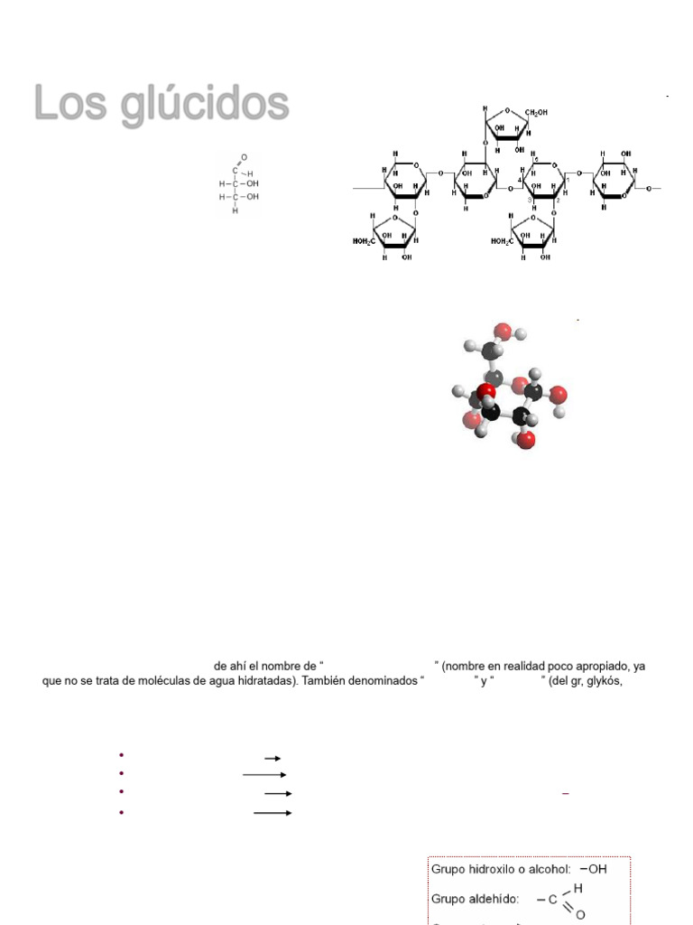 Glúcidos: Clasificación y Funciones | PDF | Carbohidratos | Polisacárido