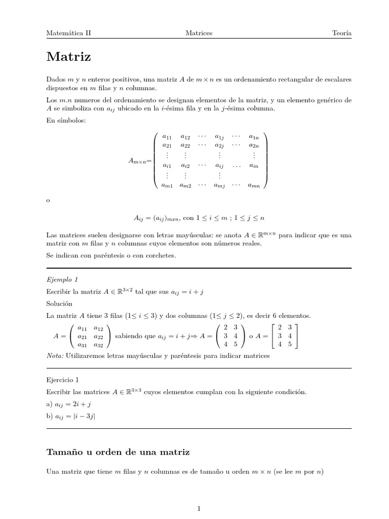Matrices Teoria | PDF | Matriz (Matemáticas) | Matemáticas