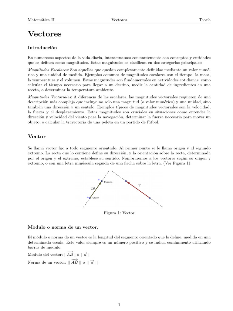 Vectores Teoría | PDF | Vector Euclidiano | Velocidad
