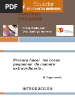Place Diada Fetal | PDF | El embarazo | Parto