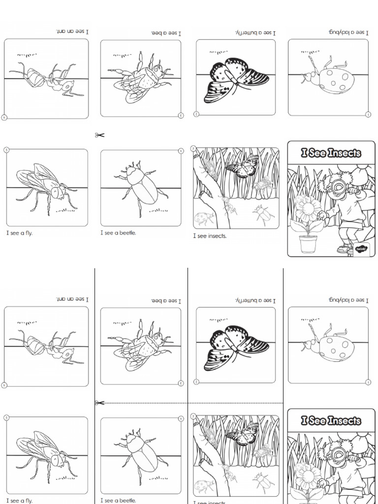 Insects Mini Book | PDF