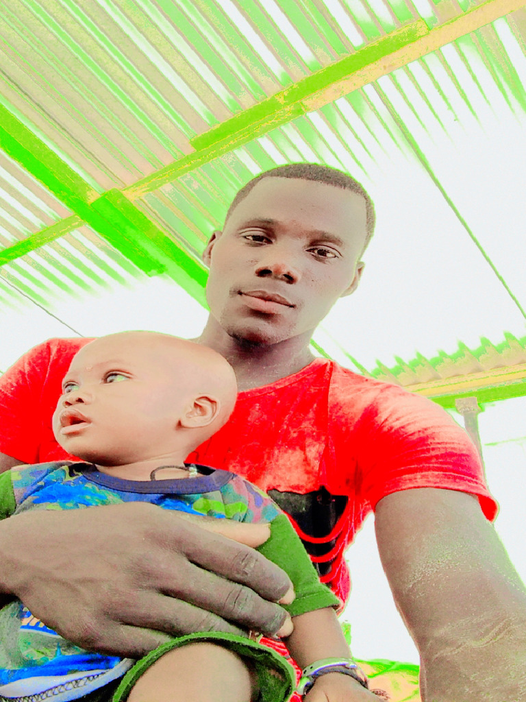 PDF Phoenix 20240713 224921 | PDF