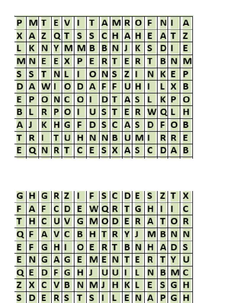 Excel Panel Discussion Puzzle | PDF