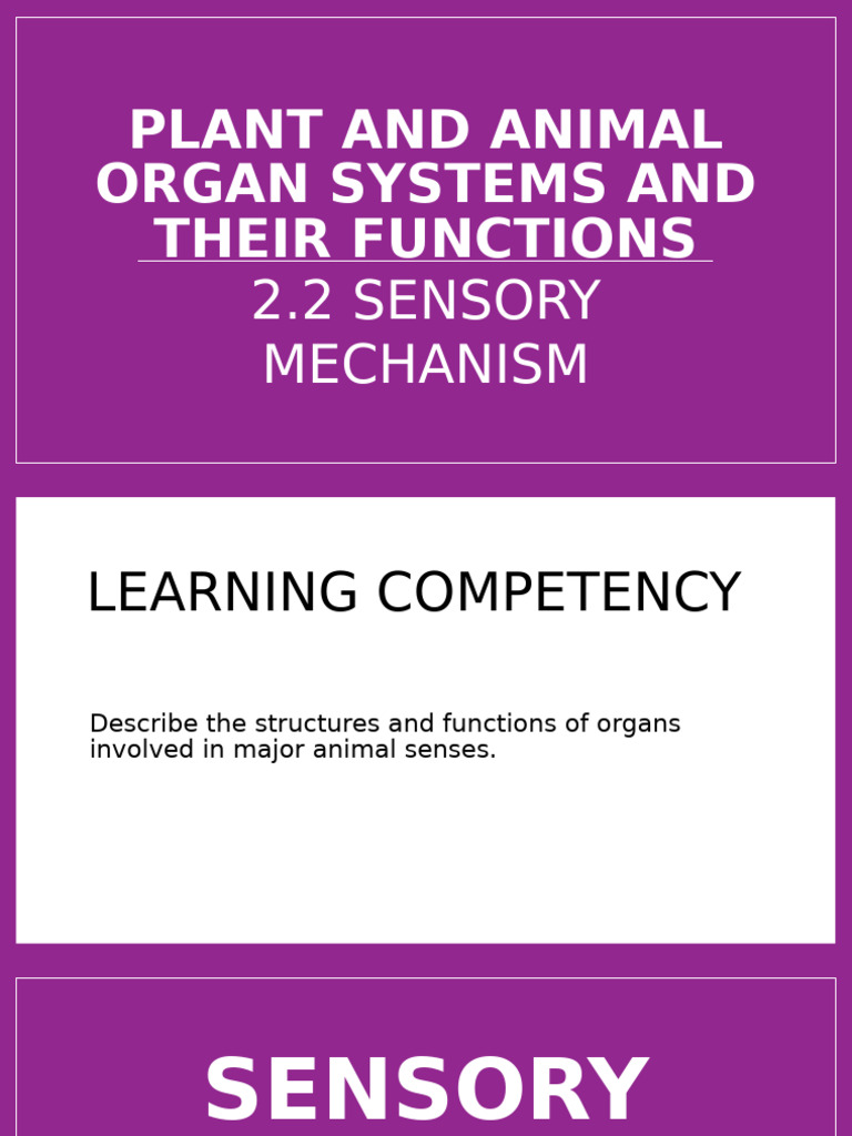 2.2 Sensory Organs | PDF | Senses | Taste
