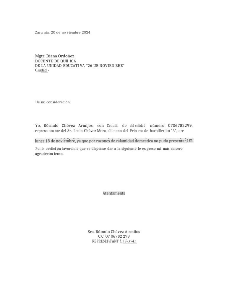 Escáner 20241120 | PDF