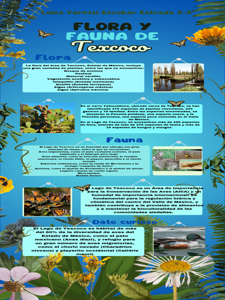 Flora y Fauna del Lago de Texcoco | PDF | Biogeografia | Aves