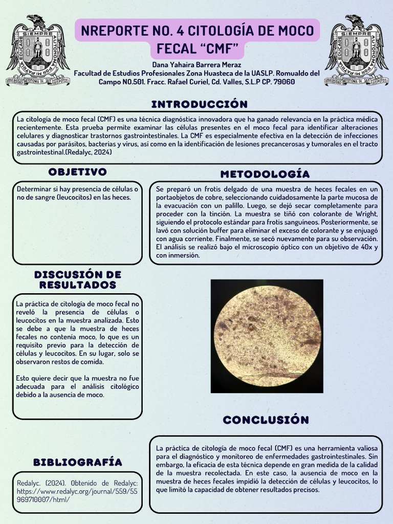 Reporte No. 4 CMF (1) | PDF