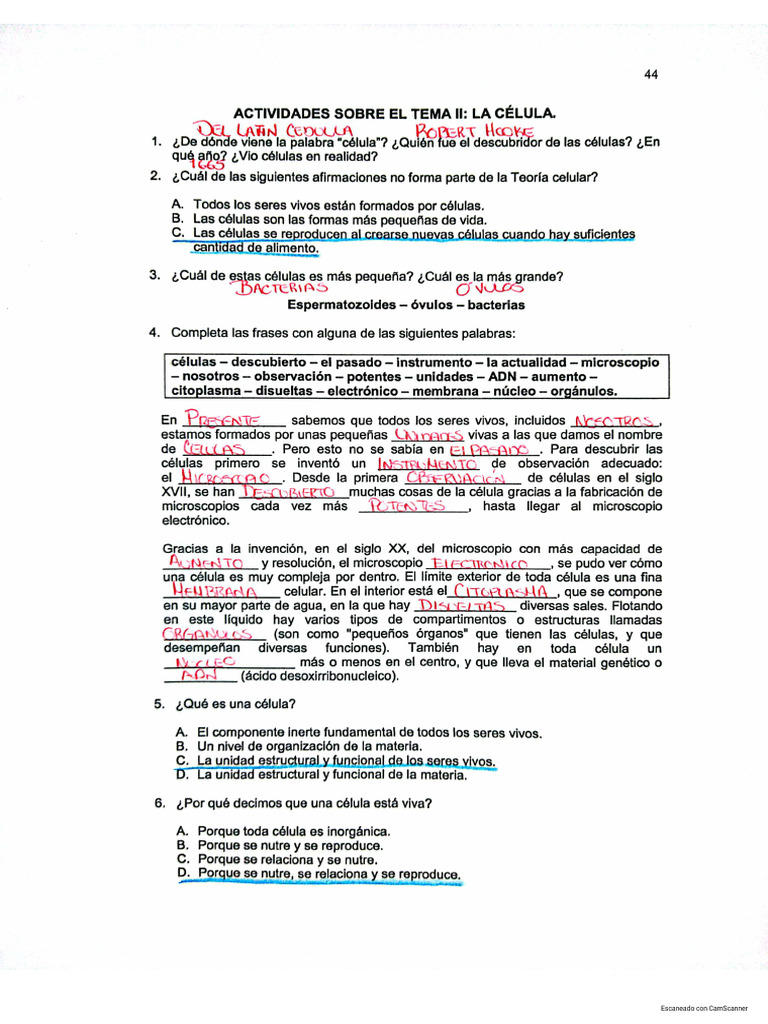 Actividad Célula | PDF