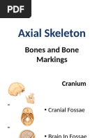 Chapter 7 Lab Assignment - Axial Skeleton Labeling | PDF | Vertebra | Skull