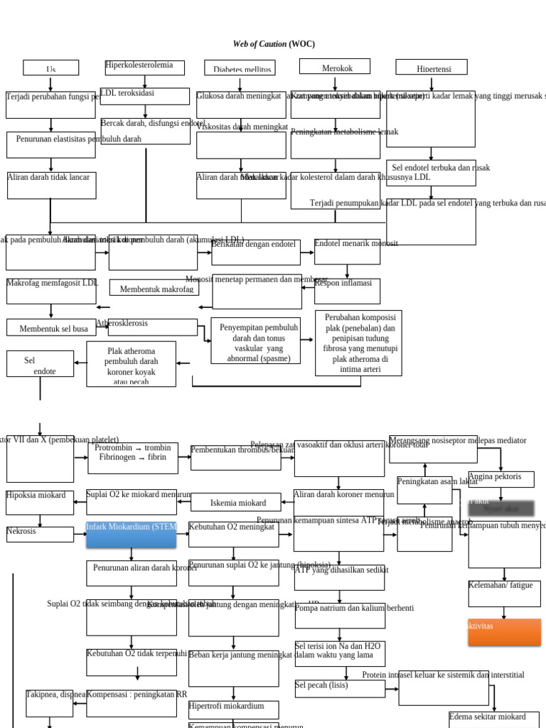 pathway stemi 2 | PDF