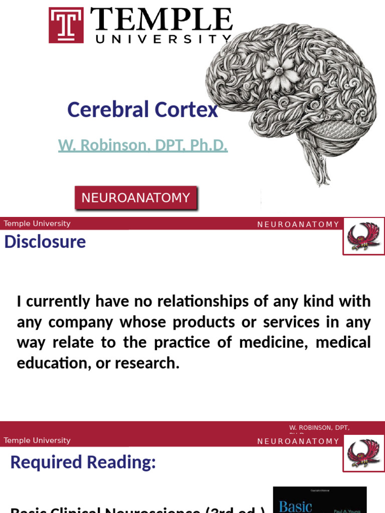 Neuroanatomy of the Cerebral Cortex | PDF | Cerebral Cortex | Parietal Lobe