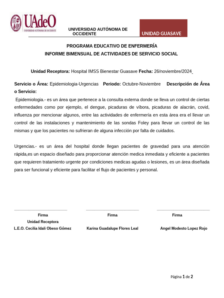 Informe Bimensual de Enfermería IMSS Guasave | PDF | Hospital | Enfermería