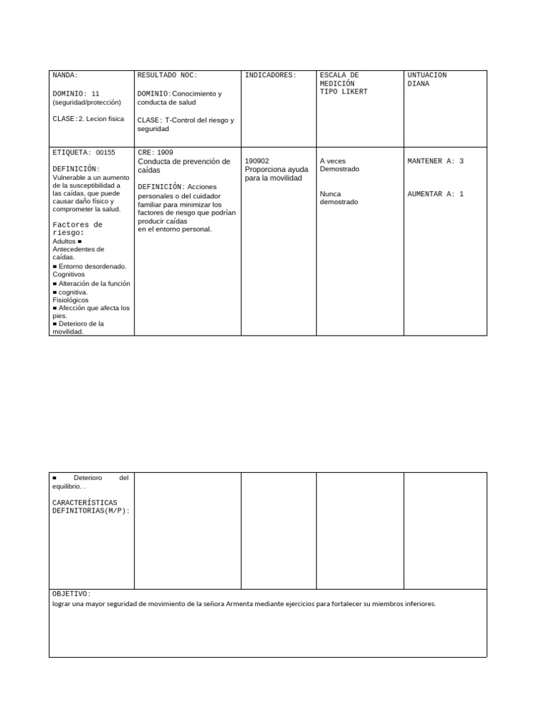 Formato de Plan de Cuidado | PDF