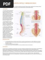 Compresion Radicular. | PDF | La columna vertebral | Sistema ...