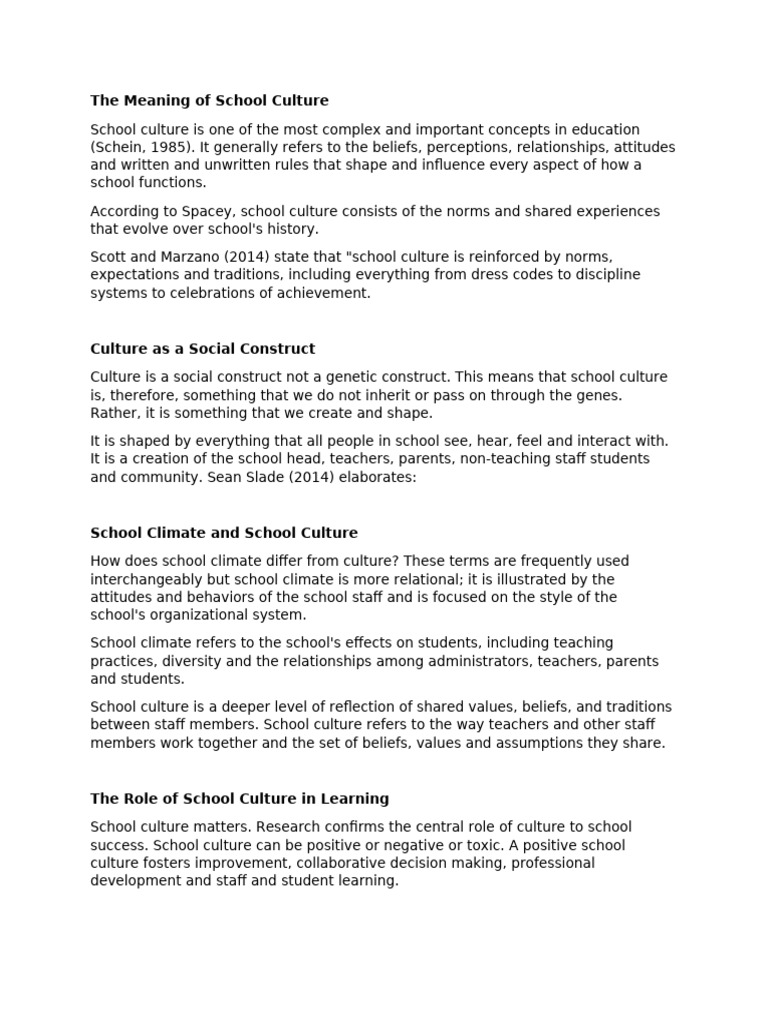 The Meaning of School Culture | PDF | Teachers | Attitude (Psychology)