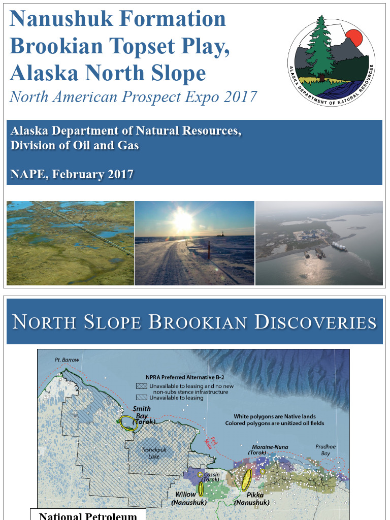 NanushukDiscoveries AAPG | PDF | Petroleum Reservoir | Energy Industry