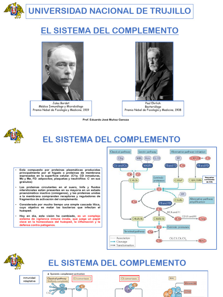 El Complemento | PDF | Sistema complementario | Inmunología