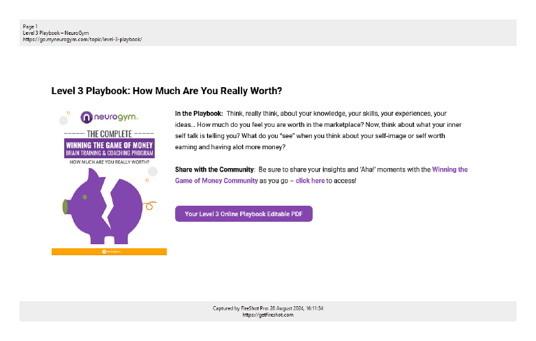 03-Level 3 Playbook How Much Are You Really Worth | PDF