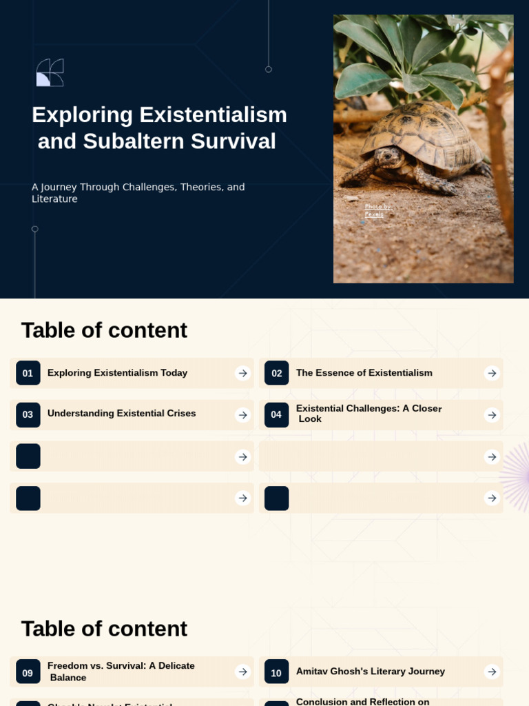 Suresh PPT Final | PDF | Existentialism | Refugee