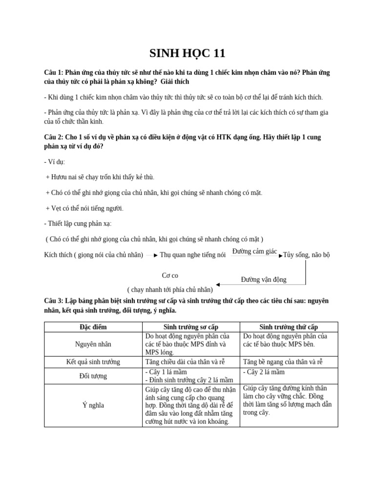 Sinh Học 11 CK2 | PDF