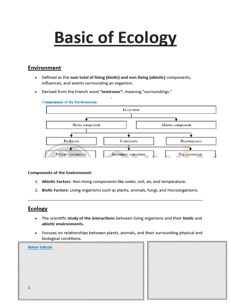 Basic of Ecology | PDF | Food Web | Ecosystem