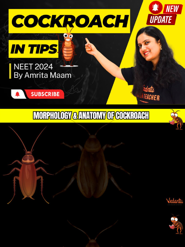 COCKROACH | PDF