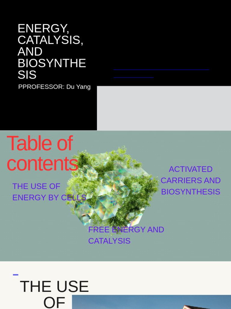 CHAPTER 3 Energy, Catalysis, And Biosynthesis | PDF | Biosynthesis ...