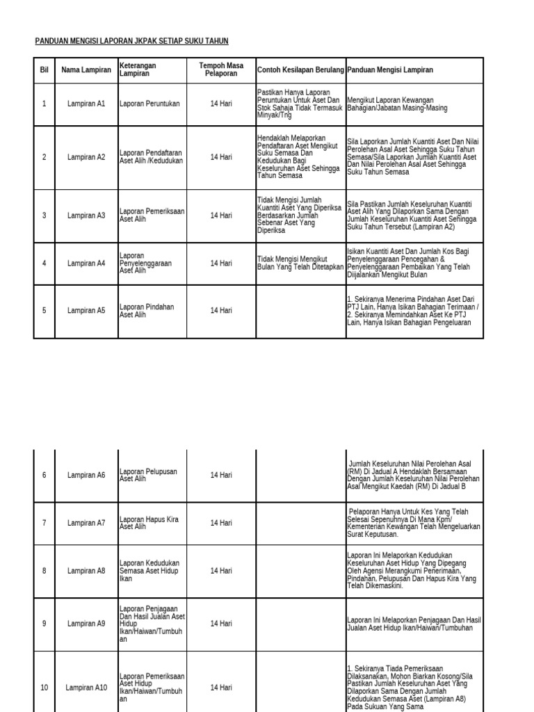 Laporan Aset Suku Tahun Pertama | PDF