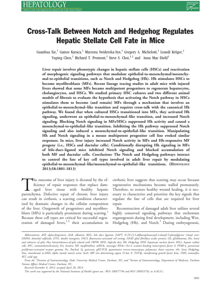 Hepatology - 2013 - Xie - Cross Talk Between Notch and Hedgehog ...