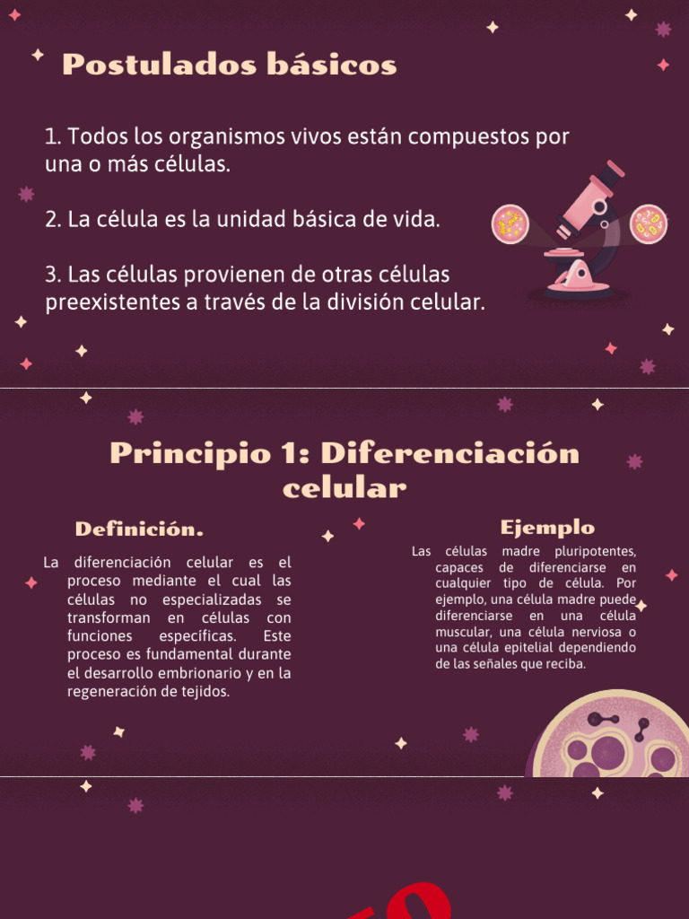 Teoría Celular BIOLOGÍA LTF | PDF | Biología Celular) | Neurona