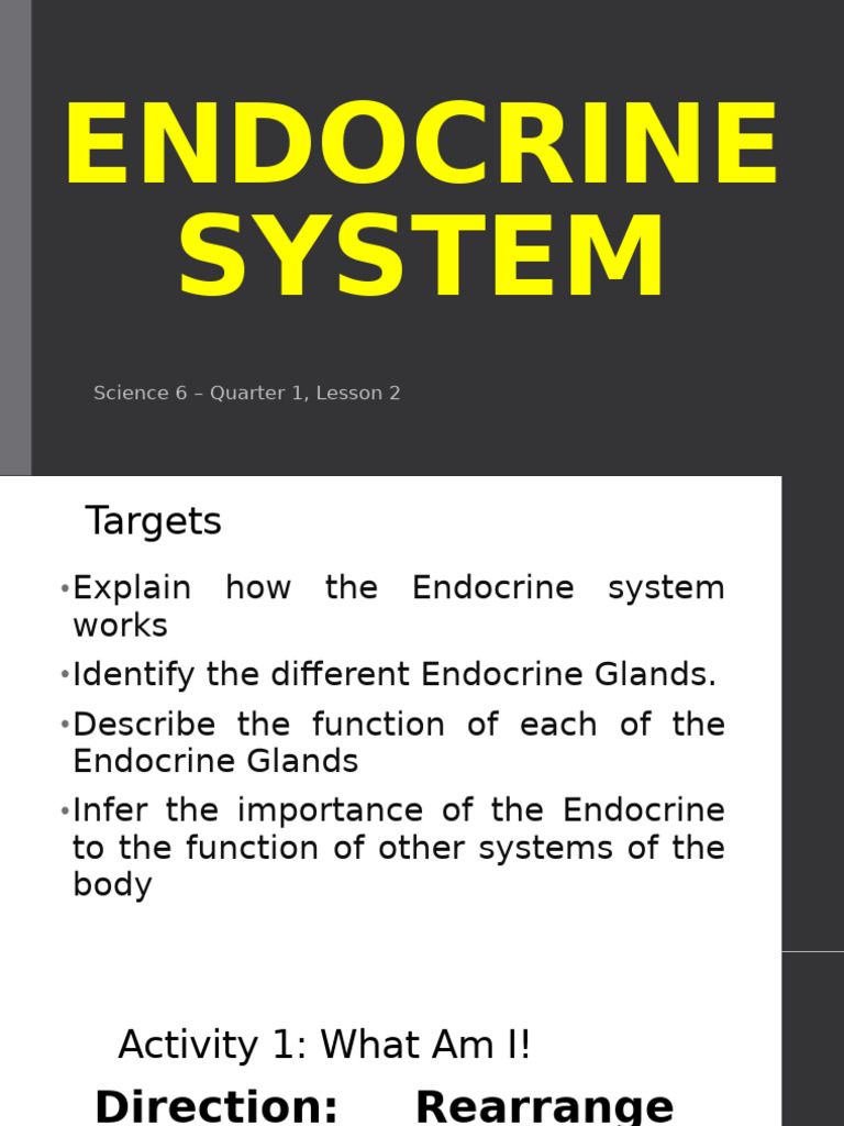 ENDOCRINE-SYSTEM | PDF | Endocrine System | Hormone